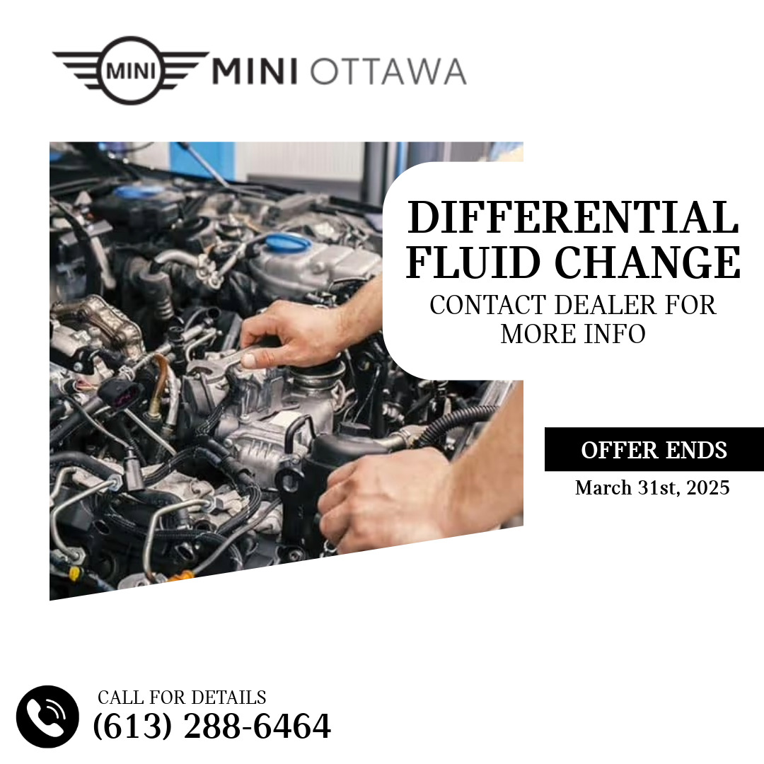 Differential Fluid Change – Keep Your MINI in Top Shape! - Mini Ottawa